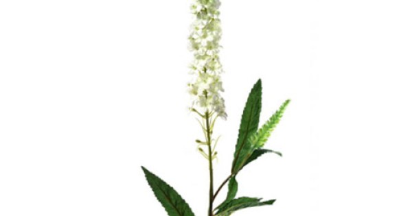 Artificial Lavender Veronica Cream Artificial Flowers